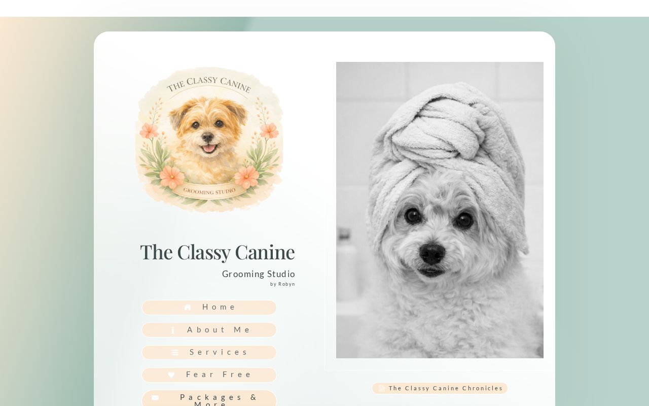 The Classy Canine - Grooming Studio